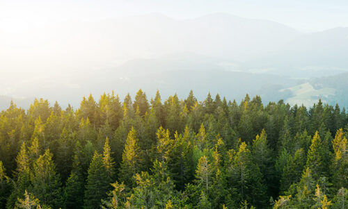 Mission – Captur Tower